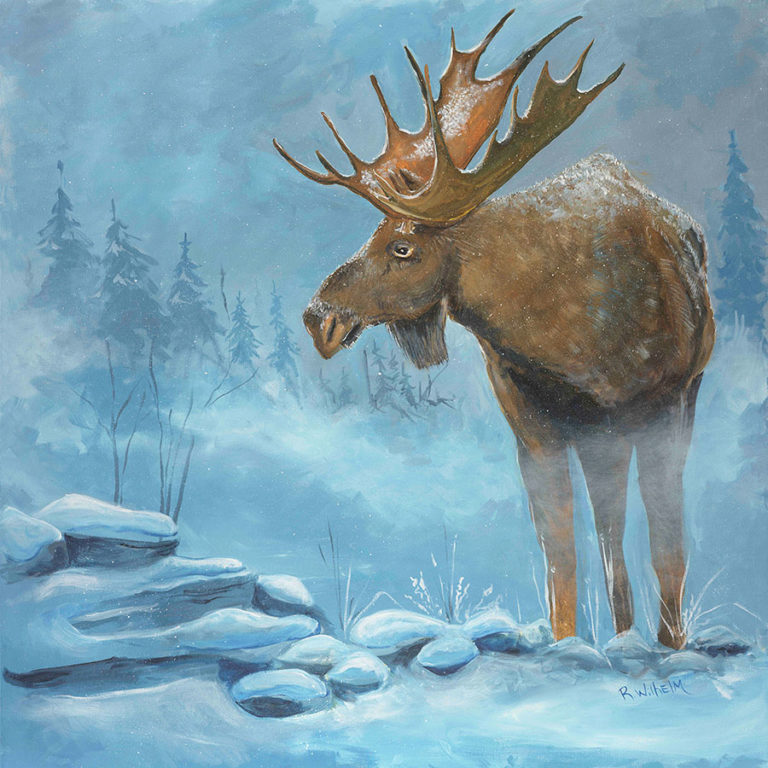 Winter Moose - Randy Wilhelm Art